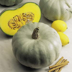 The Crown Prince Squash - Heritage Fine Foods