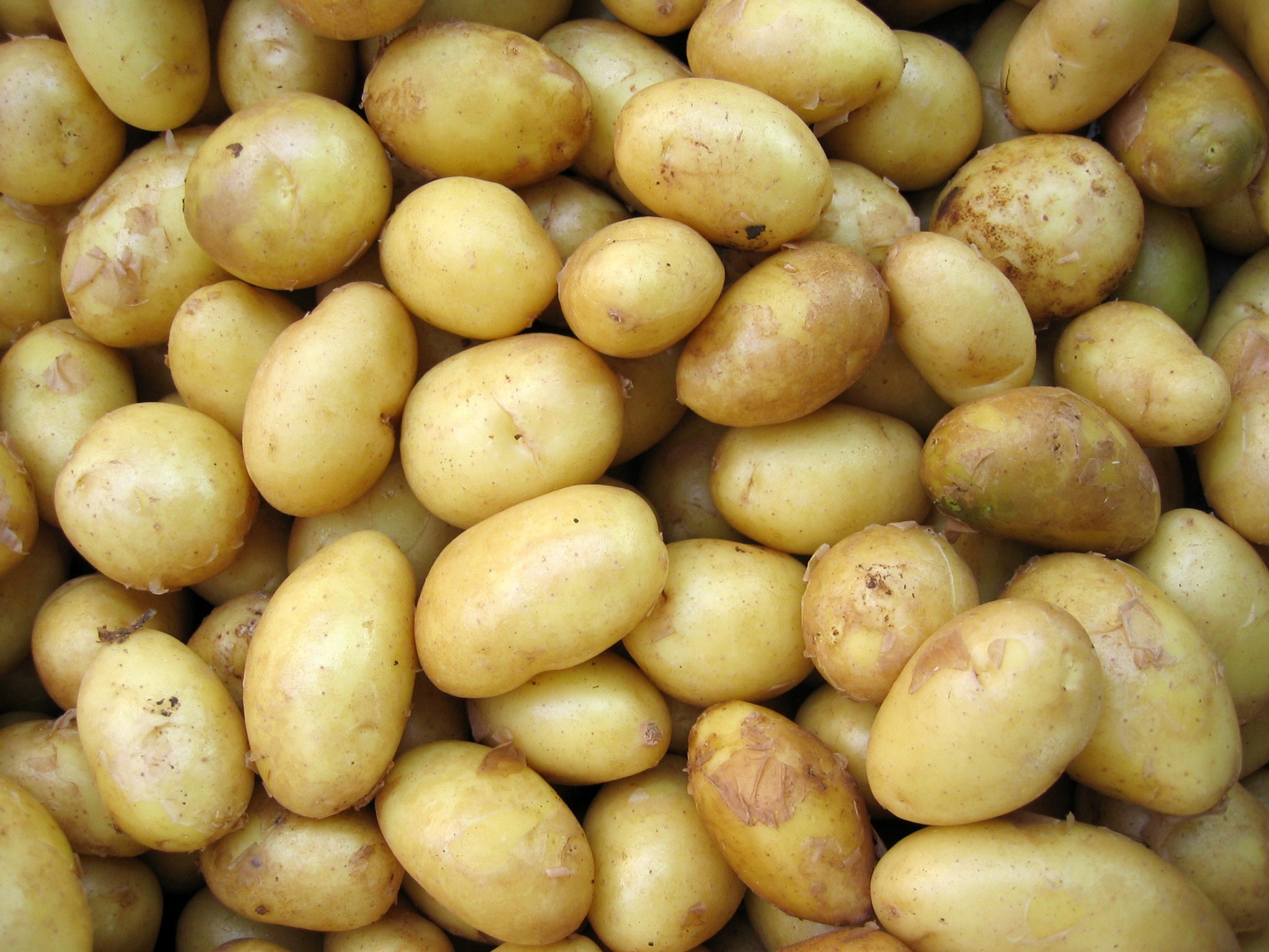 Cornish New Potatoes - Heritage Fine Foods